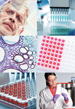 Microplate Resource Guide | Lab Manager